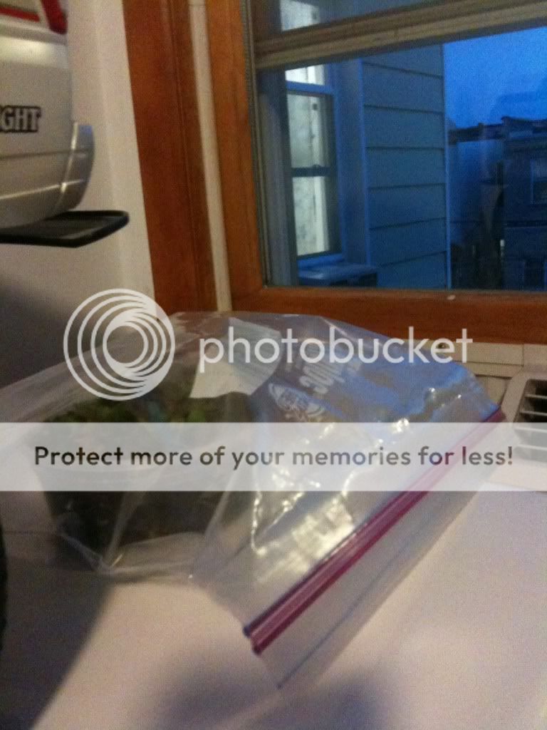 My New B-52 Lots of Pics Included - FlyTrapCare Forums